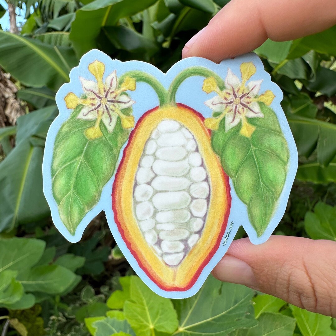 Cacao Fruit Uterus Feminist Sticker Yoni Vinyl Sticker Body Positive ...