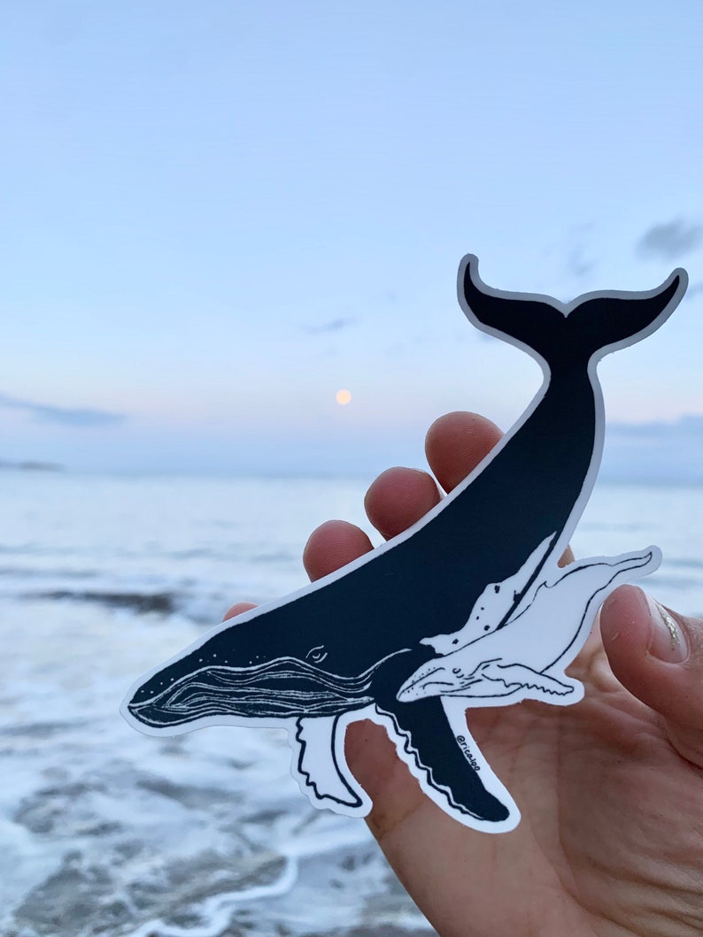 Humpback Whale Vinyl Sticker, Ocean Art, Mama and Baby Mammal Sticker ...