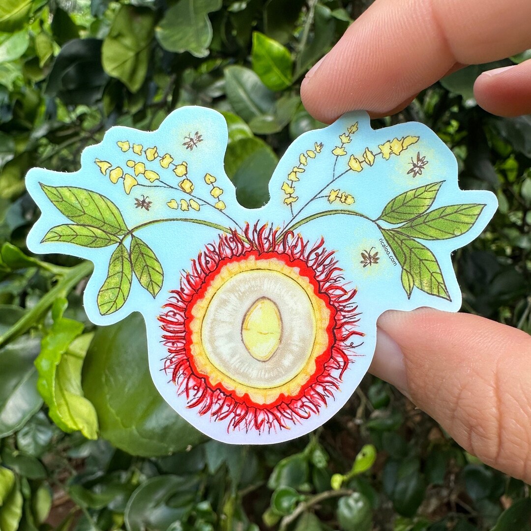 Rambutan Fruit Uterus Feminist Sticker Yoni Vinyl Sticker Body Positive ...