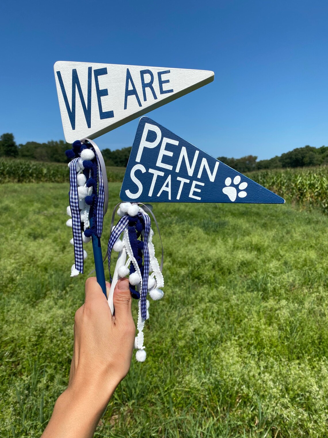We Are Penn State Wooden Flag Pennant Penn State Décor | Etsy