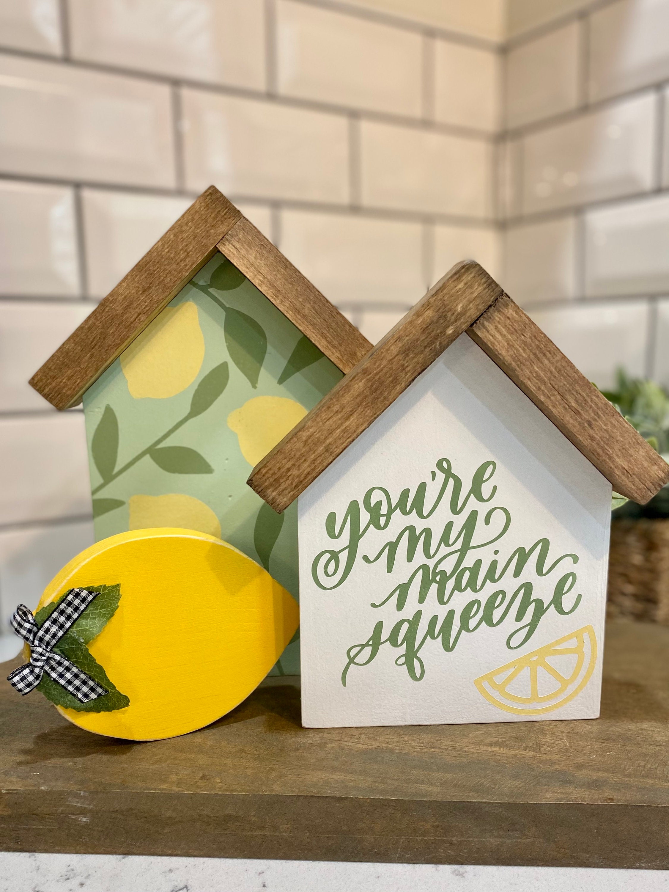 You’re My Main Squeeze | Hand Painted Wood Wall Décor House-shaped ...