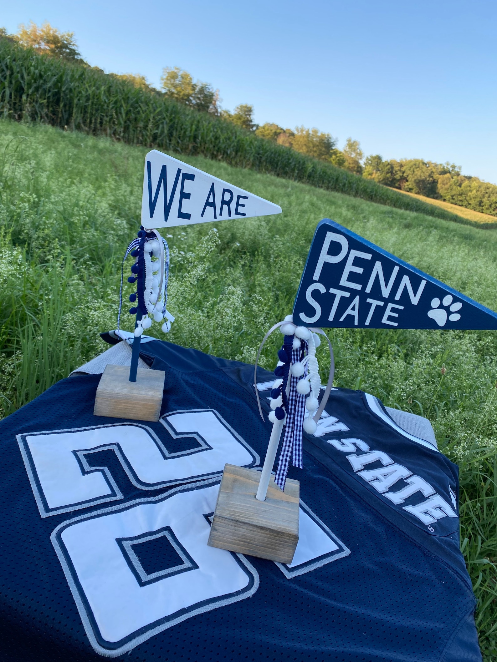 We Are Penn State Wooden Flag Pennant Penn State Décor | Etsy