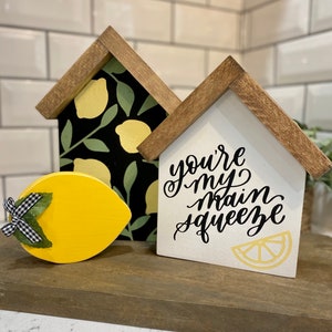 You’re My Main Squeeze | Hand Painted Wood Wall Décor House-shaped ...