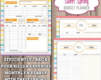 Monthly Budget Printable Planner INSTANT DOWNLOAD PDF Expense - Etsy