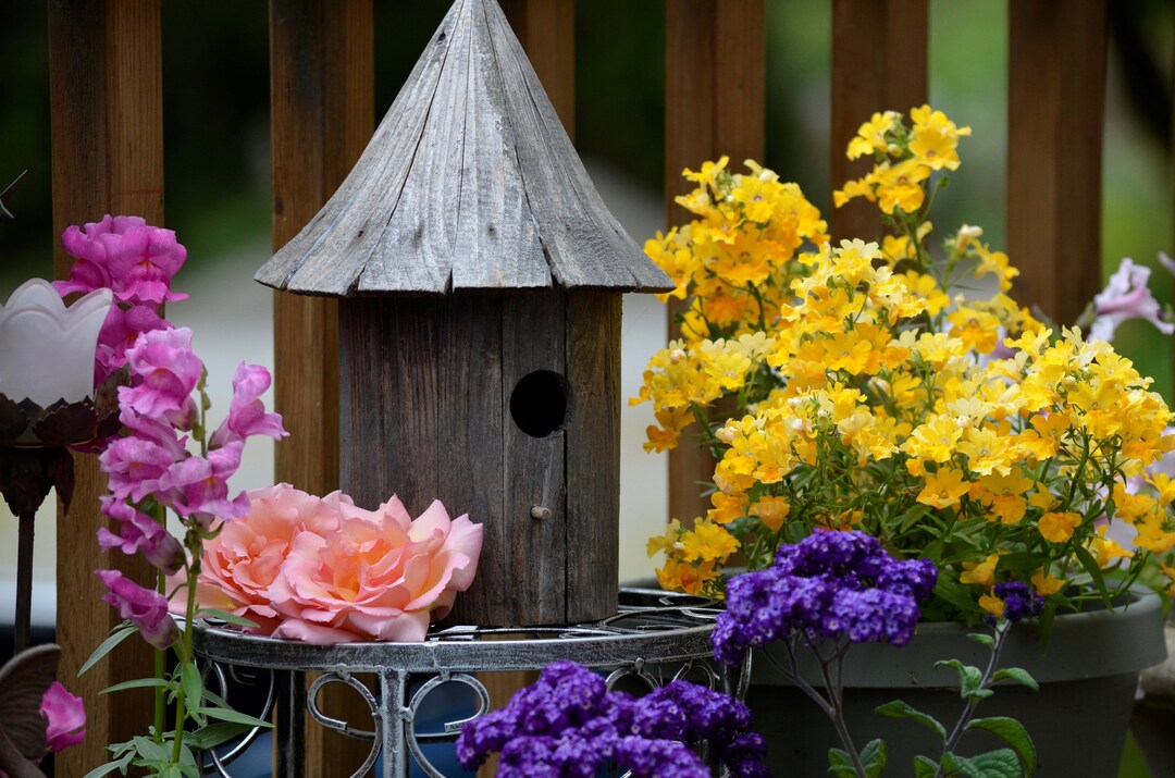 Birdhouse and Flowers Note Card. All Occasion, Blank Inside. - Etsy