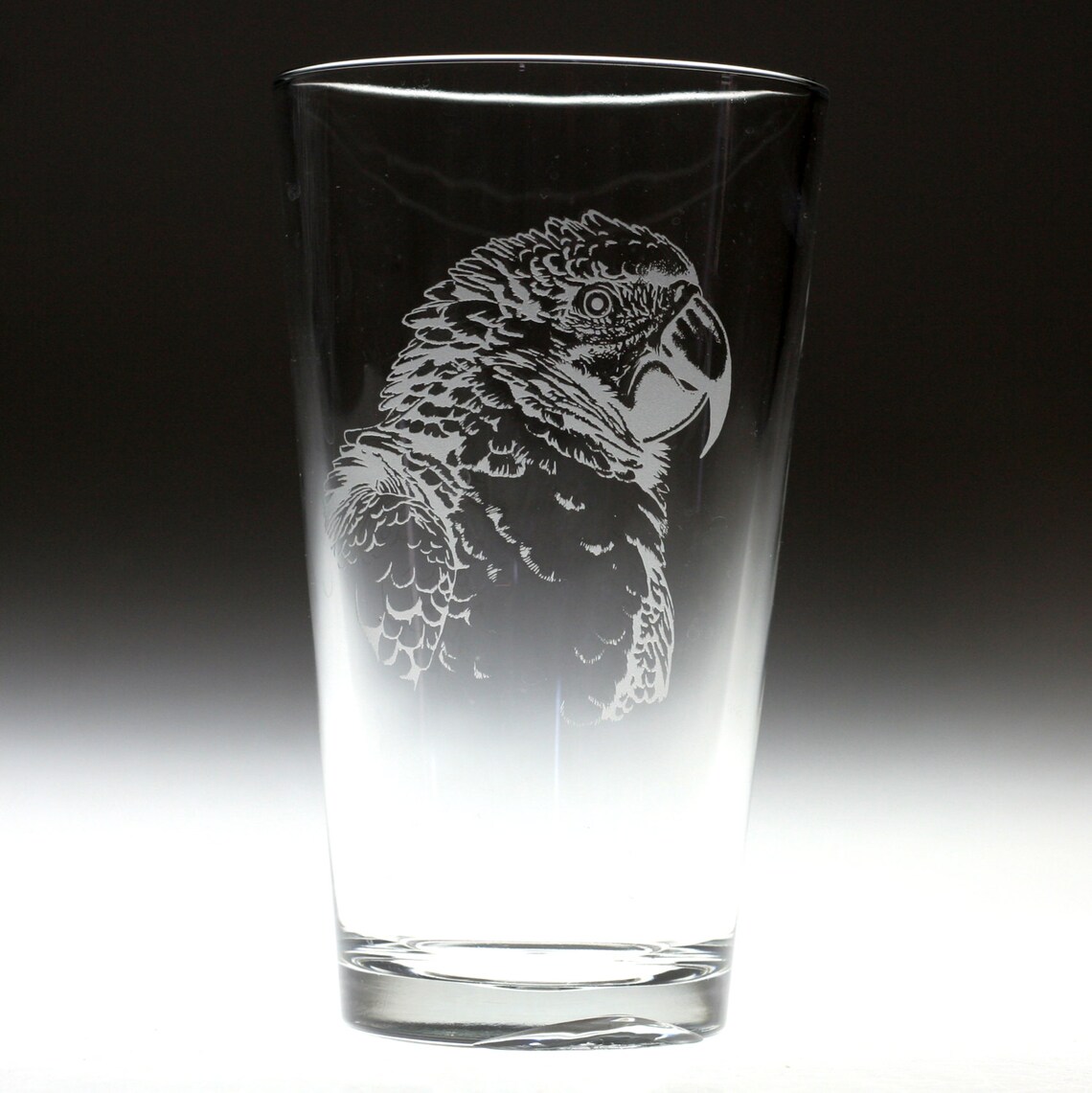 Personalized Parrot Bird Etched Sandblasted Pint Glass Bird - Etsy