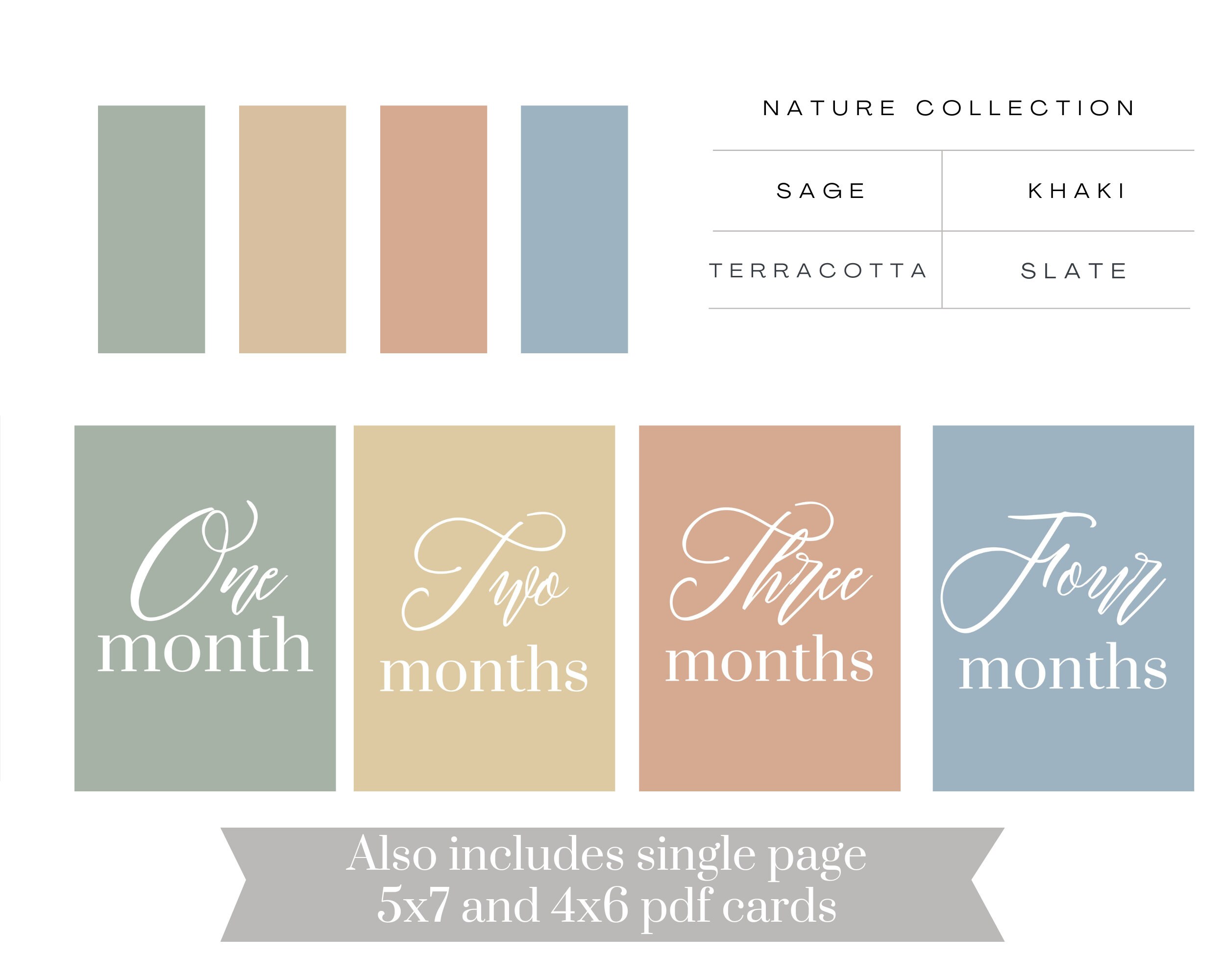 Monthly Milestone Cards- Nature -DIGITAL DOWNLOAD, Babyshower Gift ...