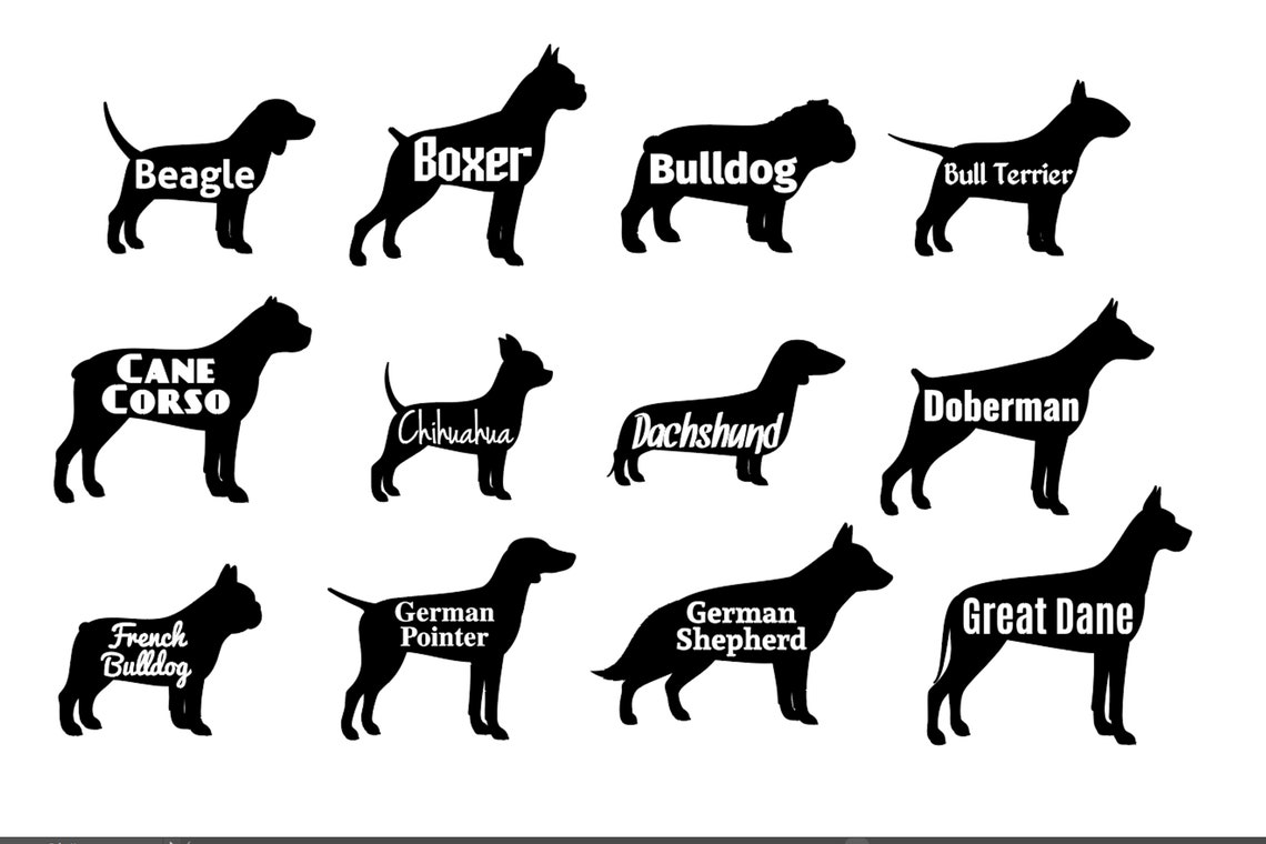 Beware of Dog Sign Your Dog Sign Aluminum Outdoor Sign Yard - Etsy