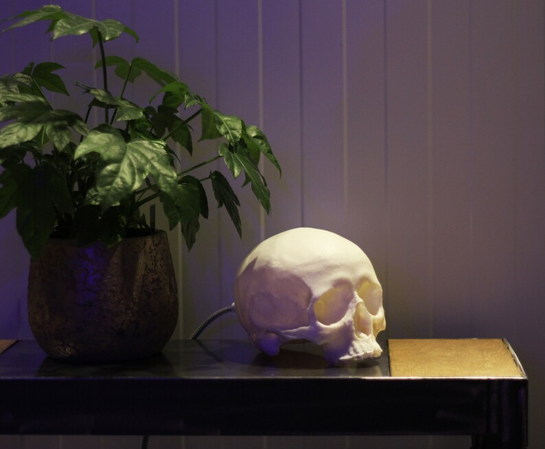 Skull lamp 2.0 | Etsy