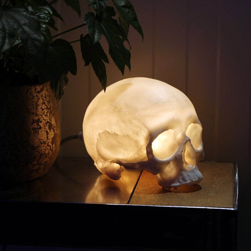 Skull Lamp - Etsy