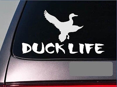 Duck Life Decal