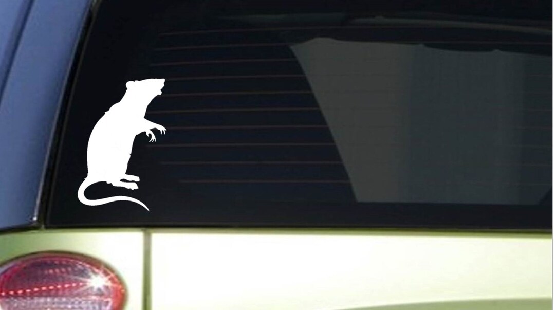 Rat 8 Inch Tall Sticker *I269* Coonhunting Decal Mouse Turtle Ninja - Etsy