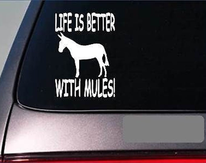 Merica Sticker Funny Window Wall Vinyl Decal Joke Gag America | Etsy