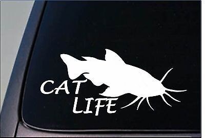 Cat Life Sticker G834 8 Vinyl Catfish Fishing Stink - Etsy
