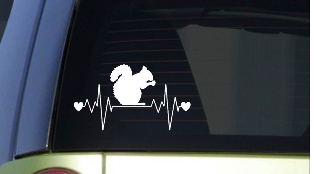 Squirrel Heartbeat Lifeline *I253* 8" Wide Sticker Decal Hunting Tree ...