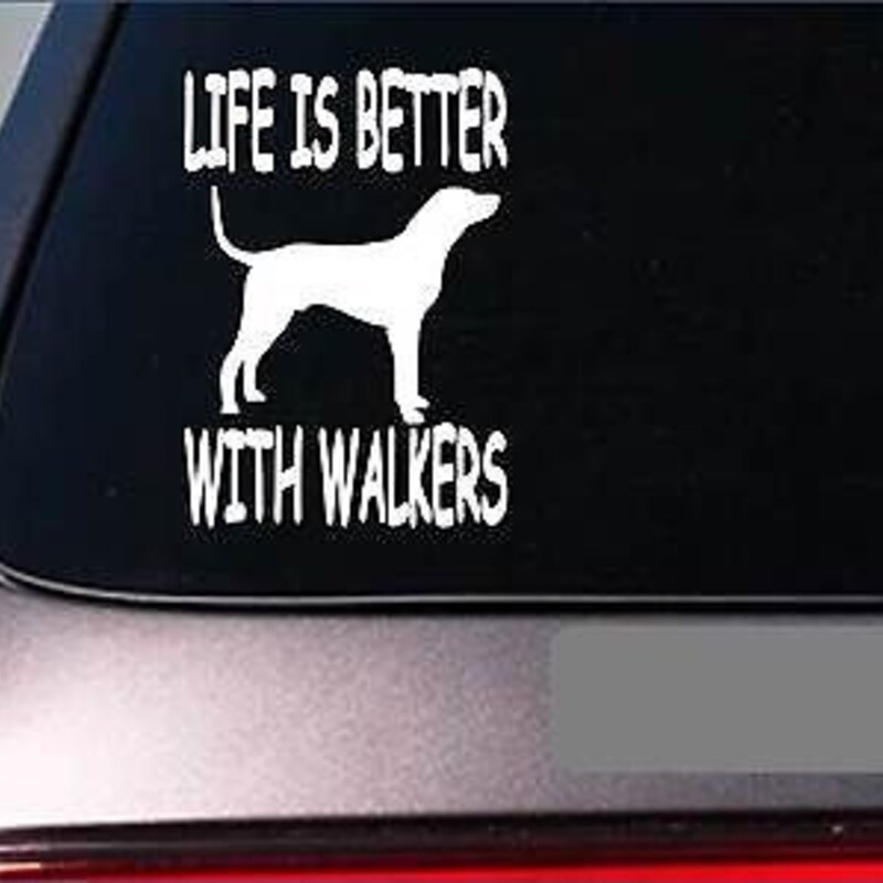 Trail Life Decal - Etsy