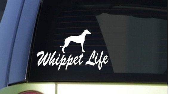 Whippet Life sticker I167 8 inch wide vinyl dog love decal | Etsy