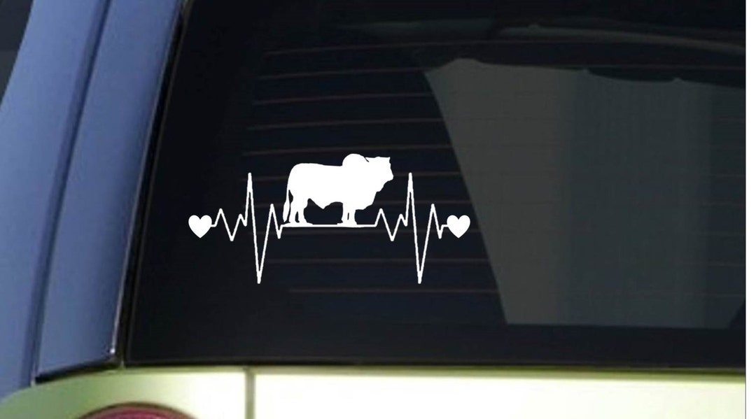 Brahman Heartbeat Lifeline *I184* 8" Wide Sticker Decal Brahma - Etsy