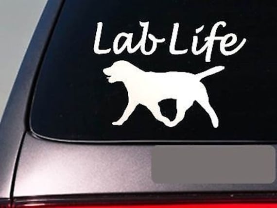 Lab Life 6 Sticker E751 Labrador Retriever Decal Vinyl - Etsy