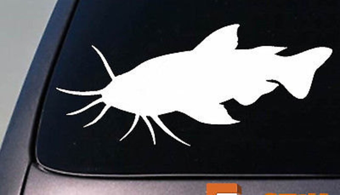 Catfish 8.5 Sticker Decal Stink Bait Cat Fish Fishing - Etsy