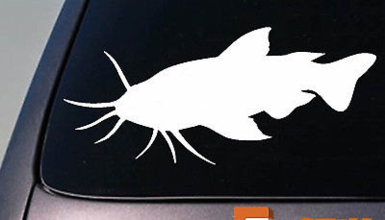 Catfish 8.5 Sticker Decal Stink Bait Cat Fish Fishing - Etsy