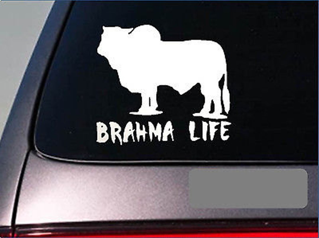 Brahma Life *E239* Sticker Decal Cattle Brahman Texas Beef Hamburger ...