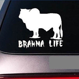 Brahma Life *E239* Sticker Decal Cattle Brahman Texas Beef Hamburger ...