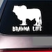 Brahma Life *E239* Sticker Decal Cattle Brahman Texas Beef Hamburger ...
