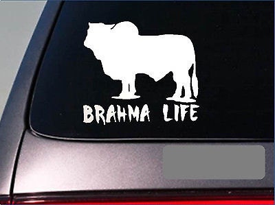 Brahma Life *E239* Sticker Decal Cattle Brahman Texas Beef Hamburger ...