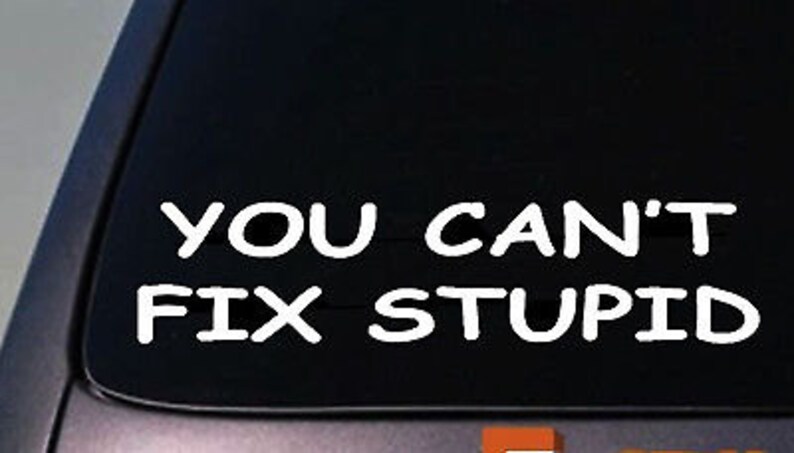 You Can't Fix Stupid Sticker Funny Car Window Vinyl Decal | Etsy