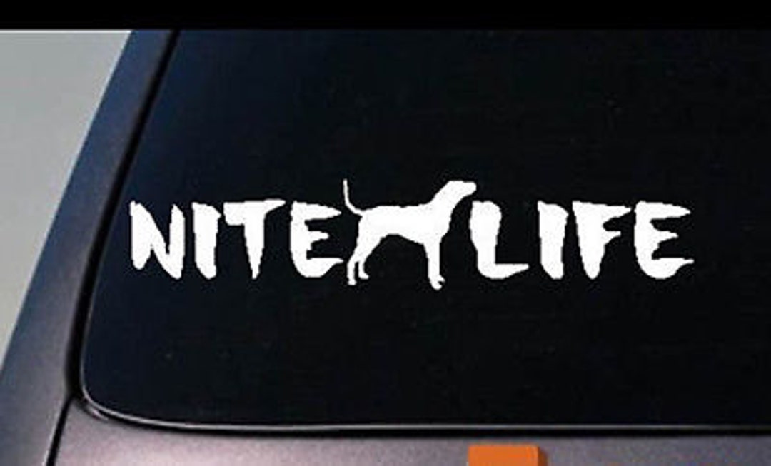 Nite Life Coon Hound Sticker Coon Hunting Coon Nite E Collar Dogbox ...