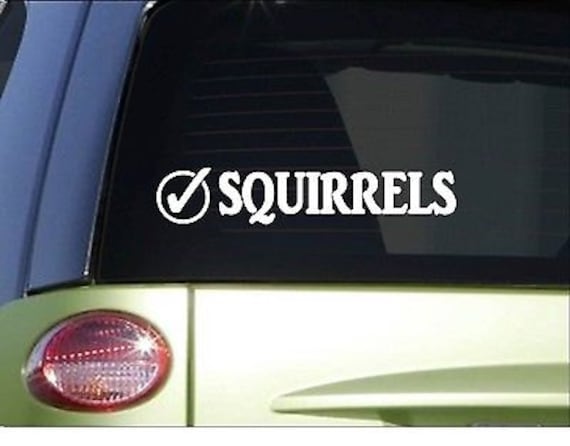 Squirrels Check I042 8 Sticker Decal Camo Squirrel | Etsy
