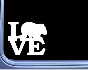 Wombat Big Heart J895 6 Inch Sticker Australia Decal | Etsy