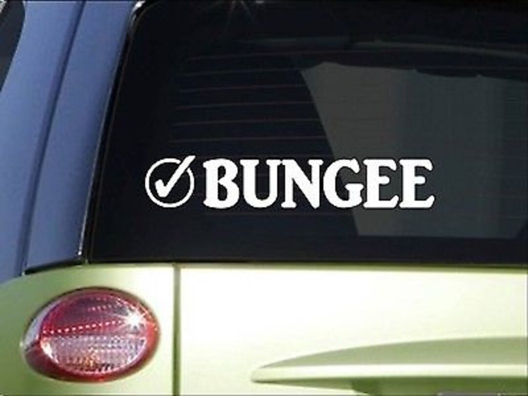 Bungee Check *H994* 8" Sticker Decal Serve Bungee Jump Cord Bridge - Etsy