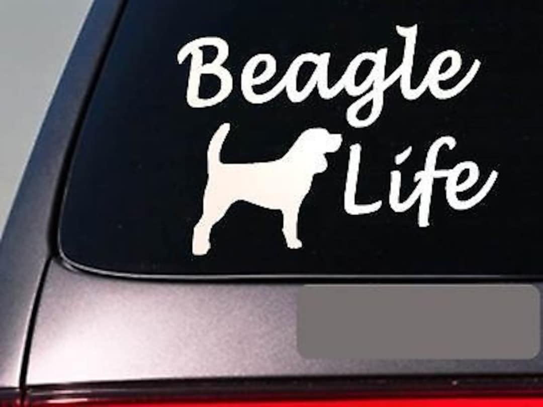 Beagle Life 6" Sticker *E754* Rabbit Hunt Decal Vinyl E Collar Beagle ...