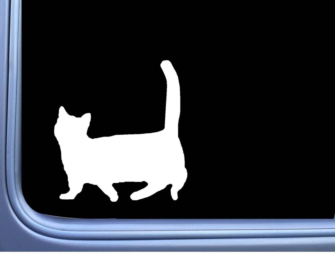Munchkin Cat Plain M353 6 Inch Sticker Decal Kitten Litterbox Catnip - Etsy
