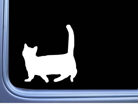 Munchkin Cat Plain M353 6 Inch Sticker Decal Kitten Litterbox - Etsy