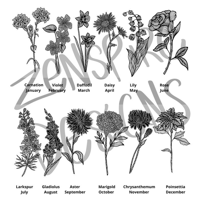 DIGITAL FILE BW Birth Flower Single or Multiple - Etsy