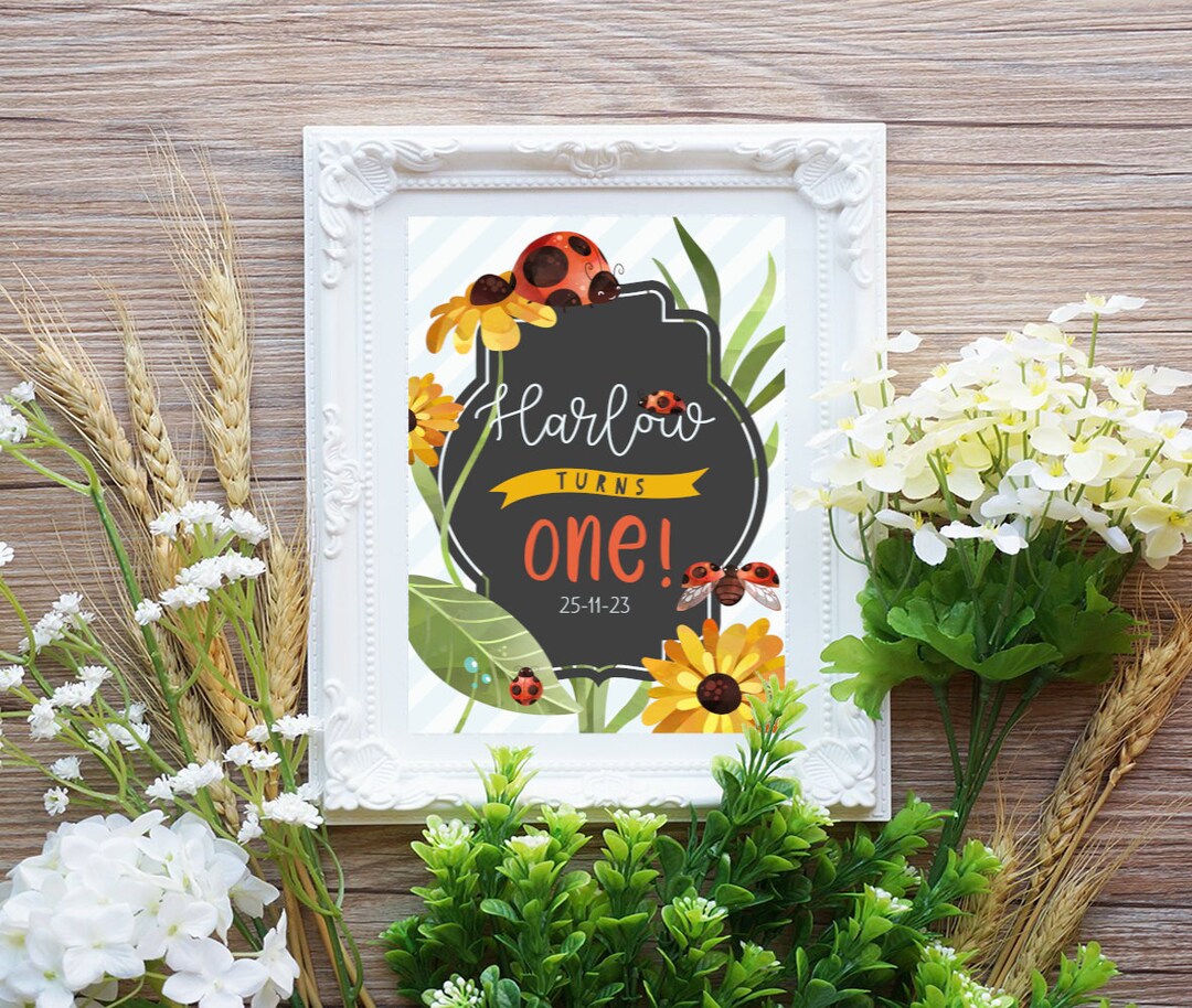 Ladybug Welcome Sign, PRINTABLE, Our Little Lady, Girl's Bug 1st ...
