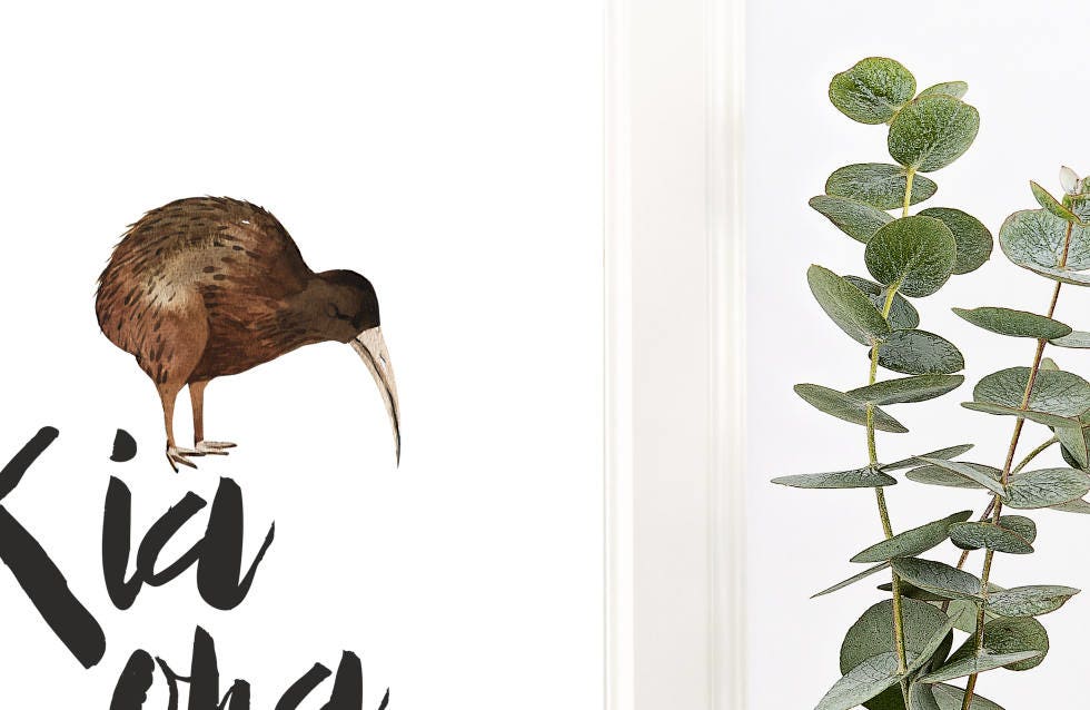 Kiwi Bird Print, PRINTABLE, Kia Ora New Zealand Wall Art, Maori ...