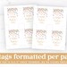 Pastel Confetti Favor Tag, PRINTABLE, Rainbow Confetti Theme 1st First ...