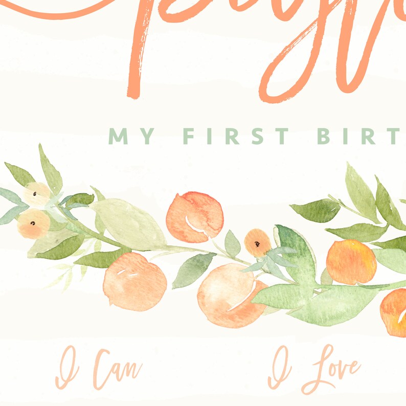 Peach Themed Milestone Board PRINTABLE Digital Download - Etsy