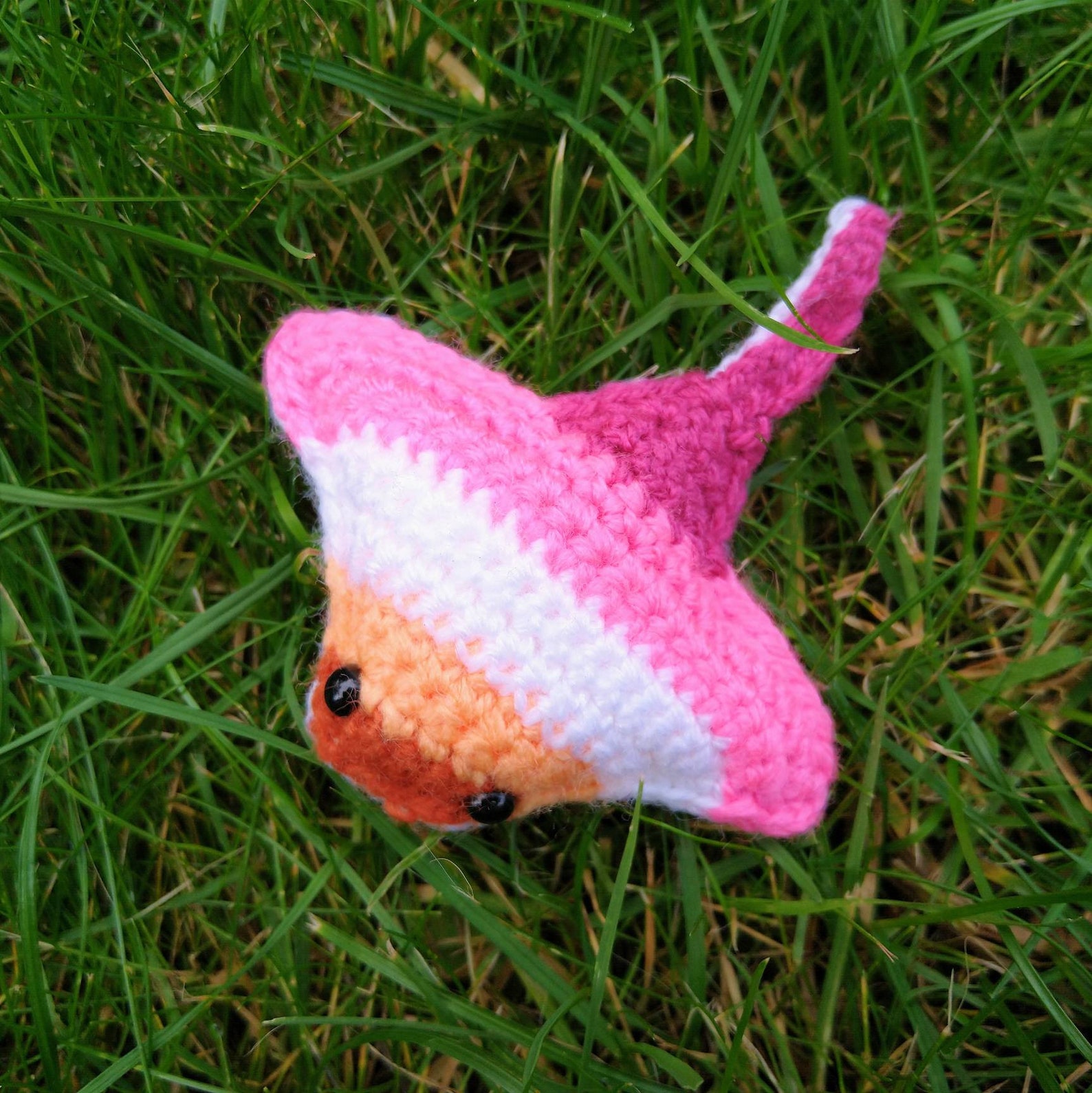 Lesbian Pride Stingray - Etsy