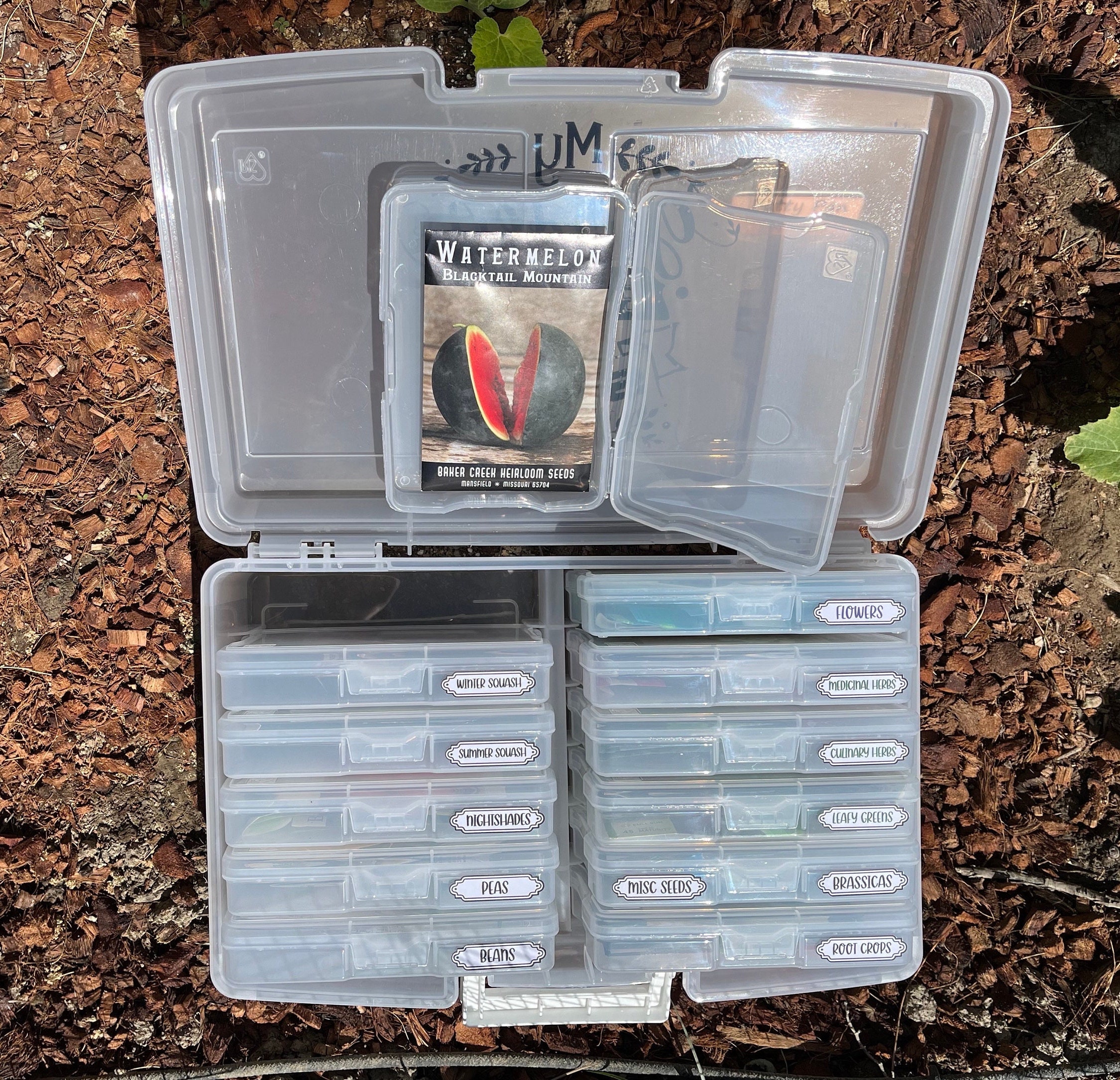 Seed Saving Storage Box Organization Containers 12 or 16 Cases for ...