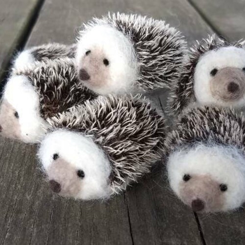 Mini Hedgehog - Etsy