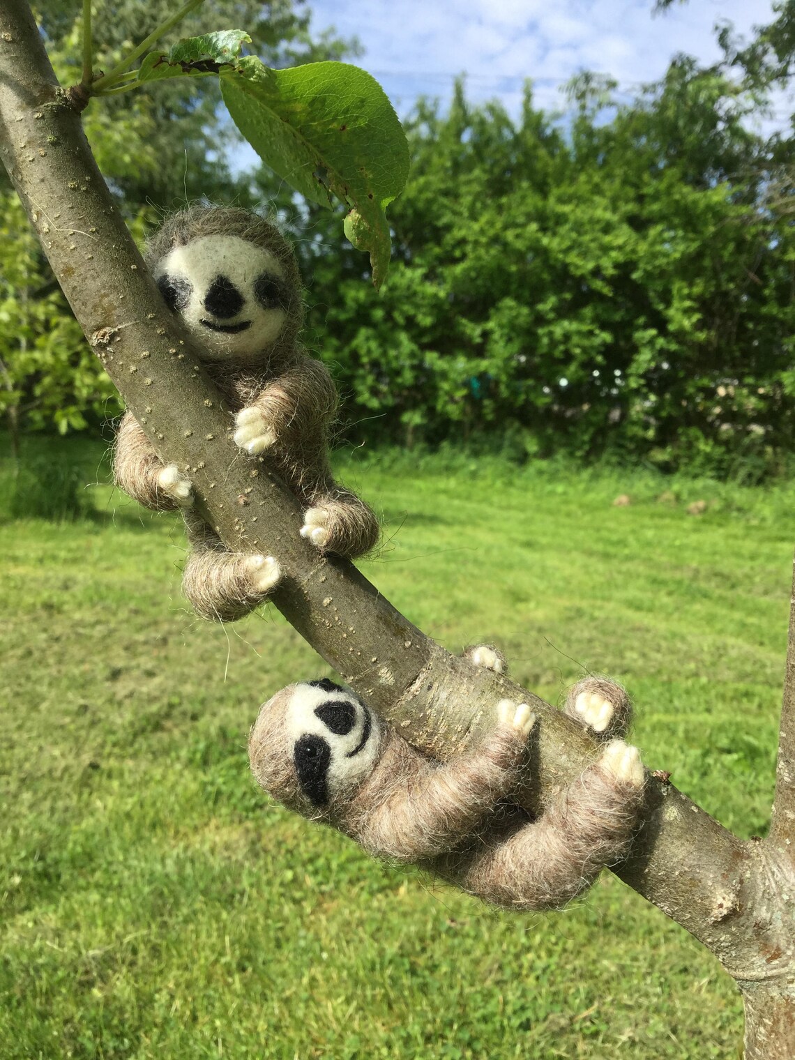 Needle Felted Sloth - Etsy