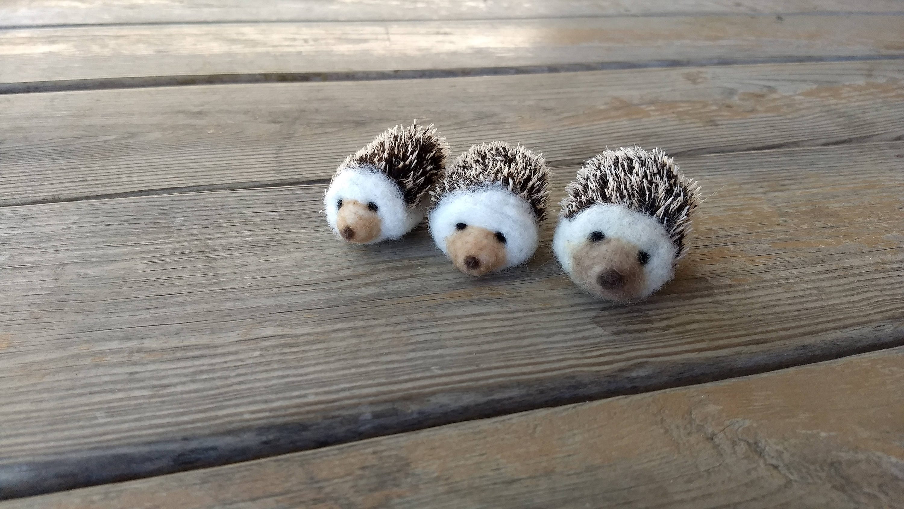 Mini Hedgehog - Etsy