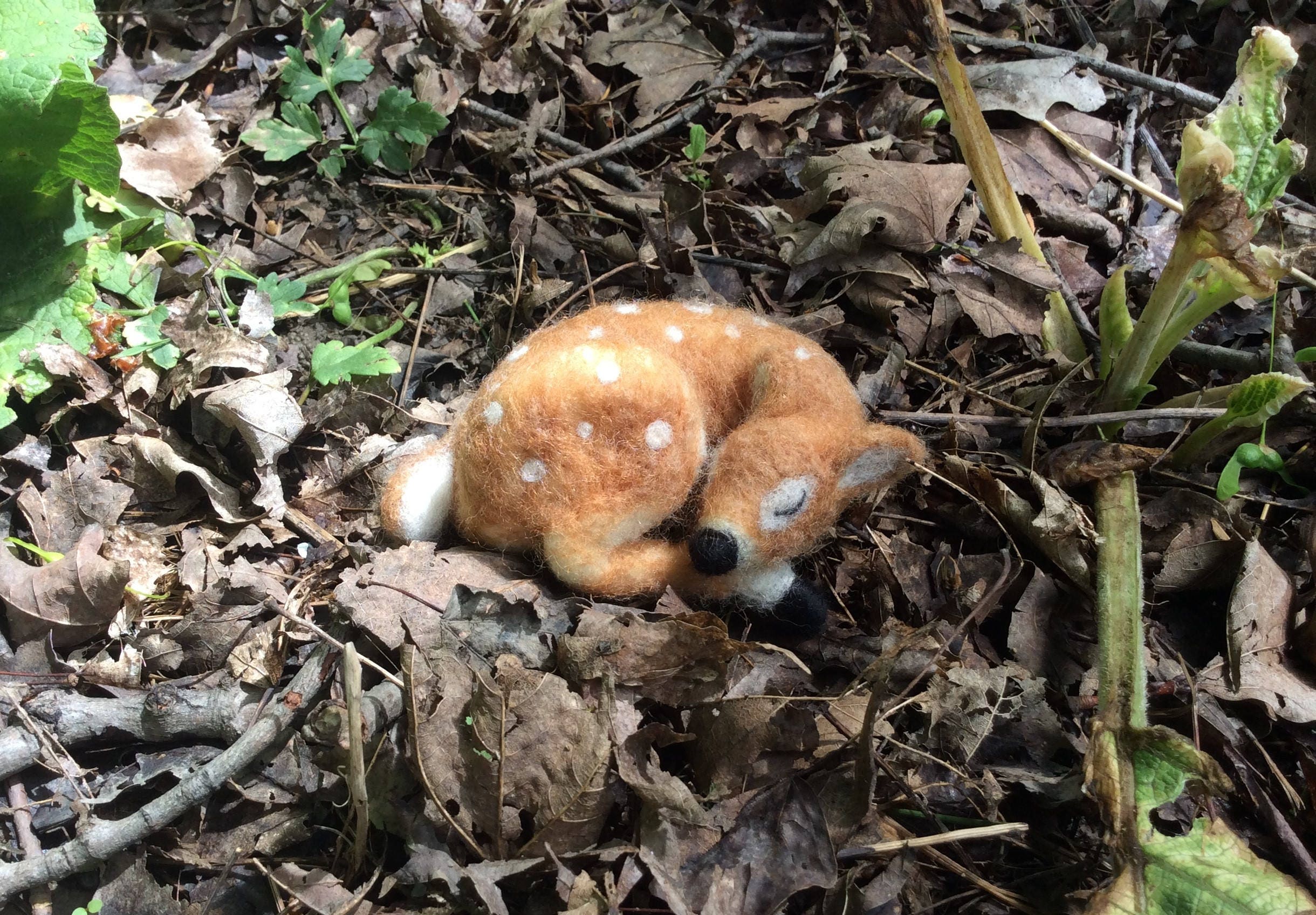 Needle Felted Sleeping Fawn - Etsy