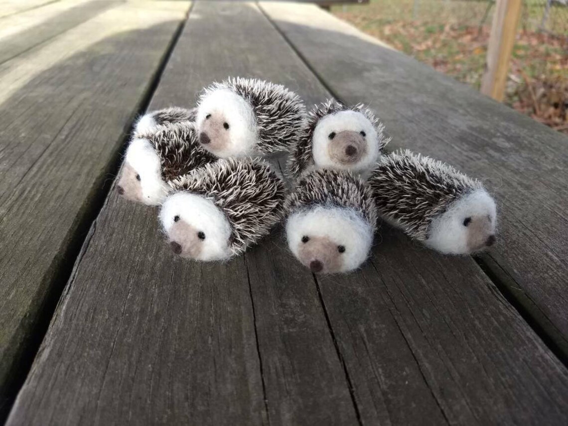 Mini Hedgehog - Etsy