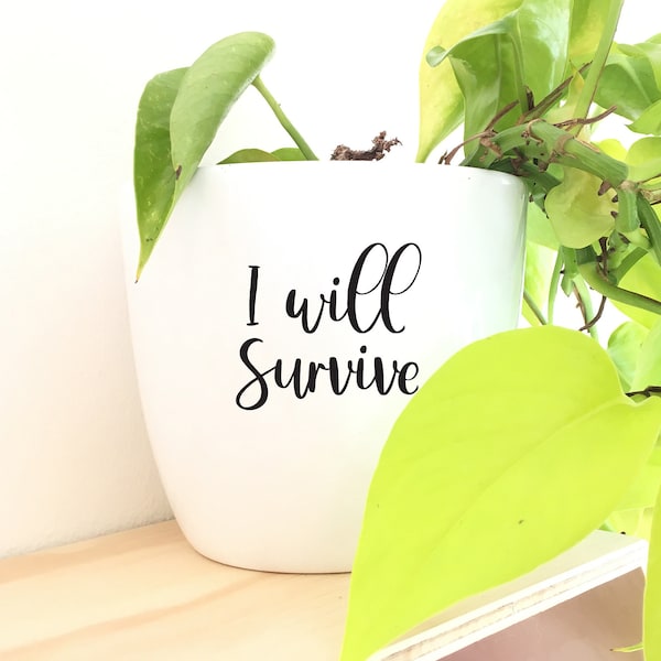 Planter Decal - Etsy